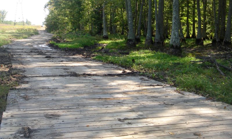 8" Timber Mats - New, Used, & Rental 8" Timber Mats | Totem Mats